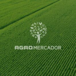 Provado 200 SC - INSETICIDA